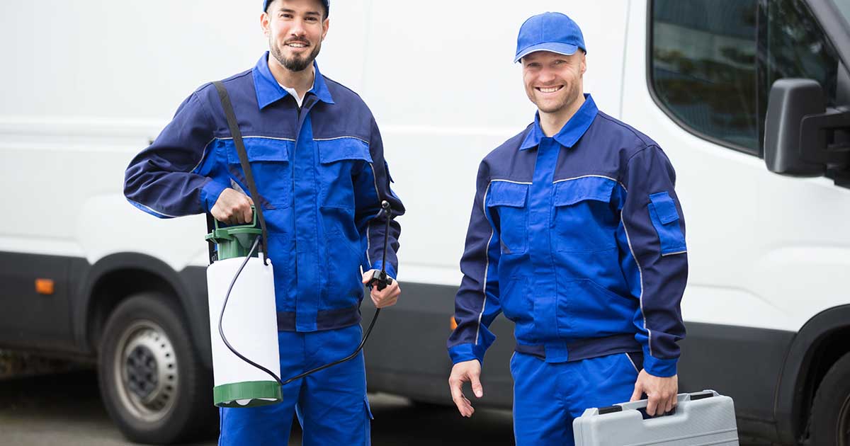 Pest Control Service: Exterminator