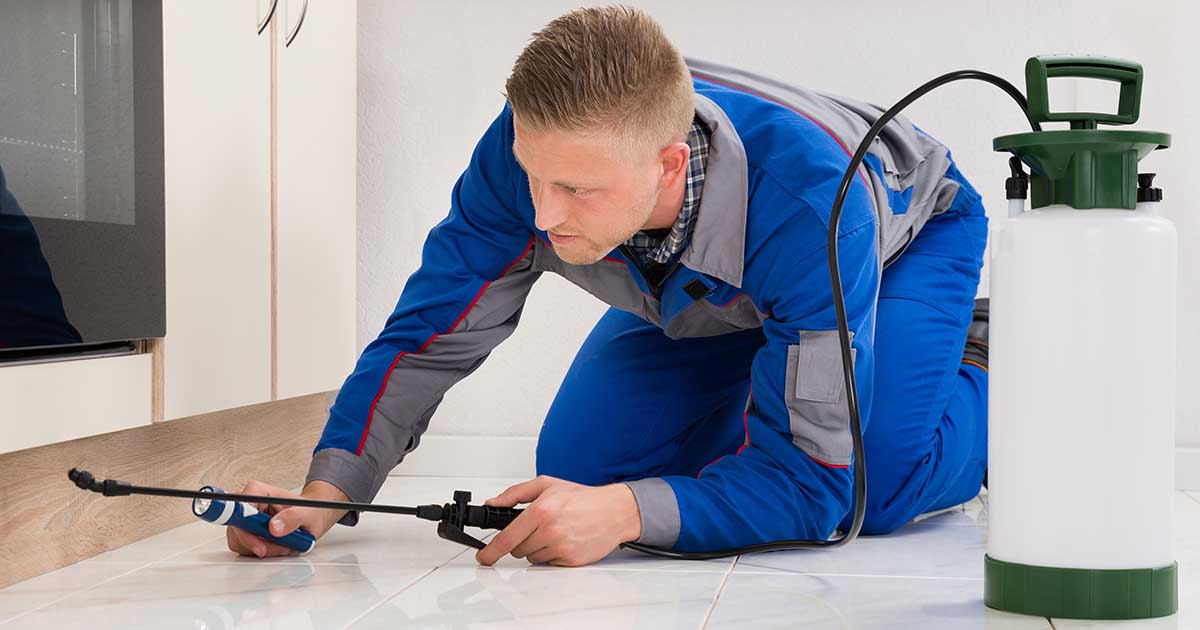 Pest Library - RECON Pest Services